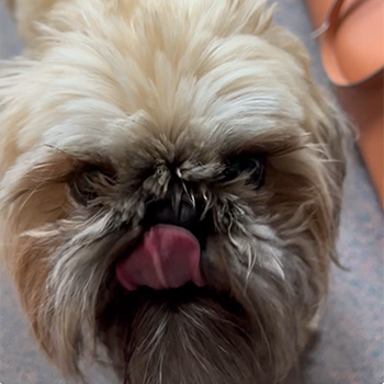 Personnel | Leo Remo